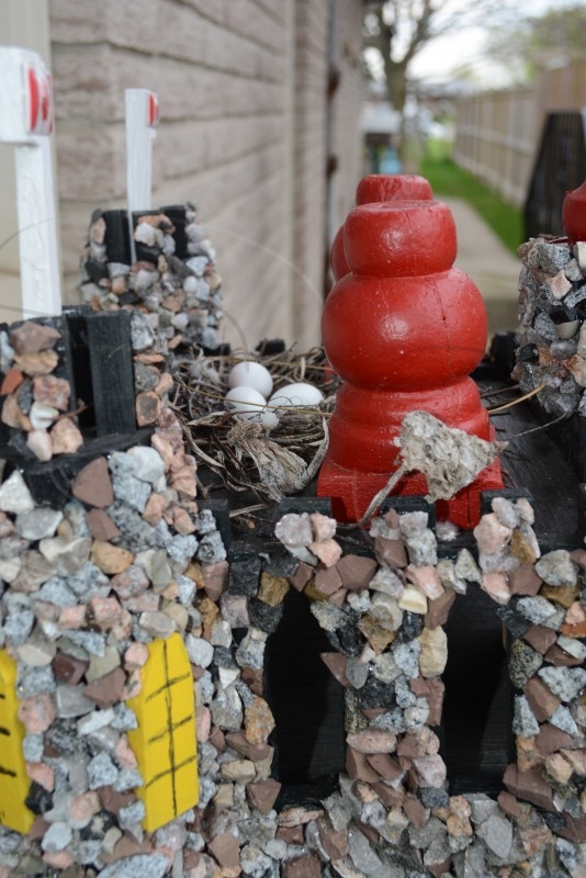 A dove’s home is her castle – The Aylmer Express