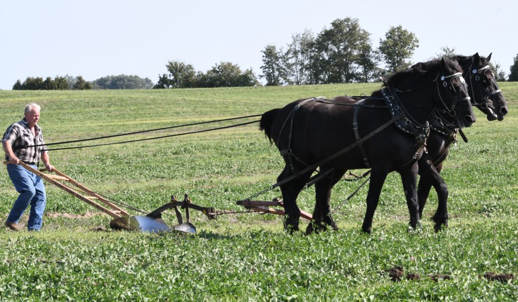 Elgin Plowing Match draws 31 competitors – The Aylmer Express
